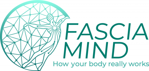 Fascia Mind - Innovative Faszien Therapie Methode - FasciaMind ...